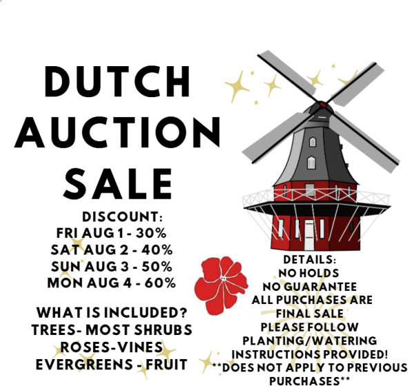 What is a Dutch Auction? – Walters Greenhouses and Garden Centre in ...